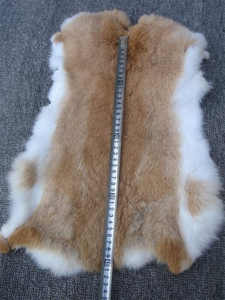 20pcs/set Real Rabbit Pelts Leather Hide Skin Soft Crafting Garment ...