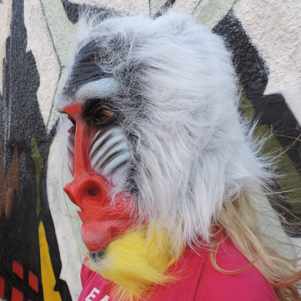 Baboon Mask Primate Monkey Ape Zoo Jungle Rafiki Costume Theater Adult ...