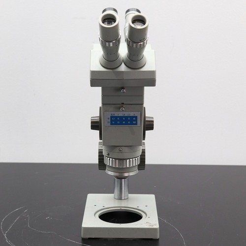 Carl Zeiss Stereo Microscope dual optics | eBay