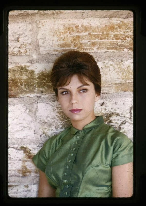 Nancy Sinatra 1960
