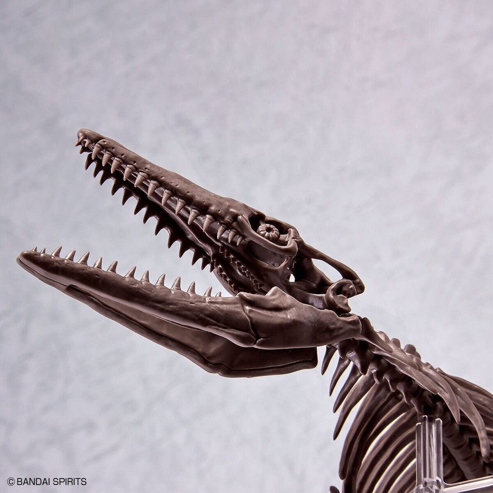 Imaginary Skeleton Mosasaurus 1/32 scale Skeleton Plastic Model Kit ...