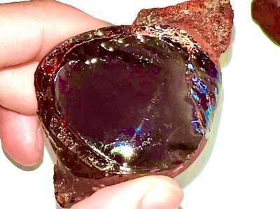 100% Xanthorrhoea Grass Tree Resin Fragrant Western Australian Species ...