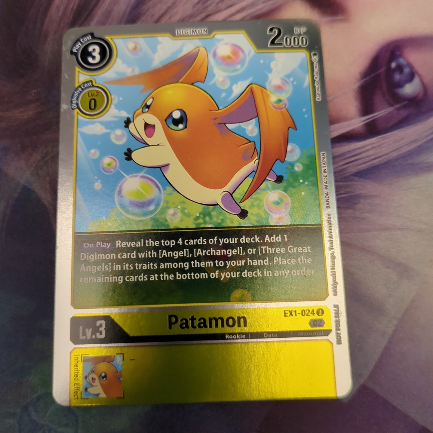 Digimon CCG Classic Collection Patamon EX1-024U | eBay