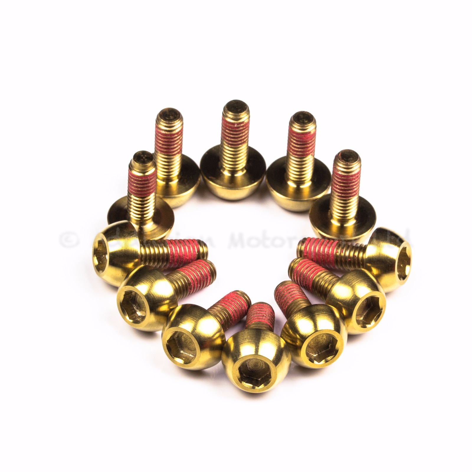 12x Honda VFR 800 1998-2015 Gold Titanium Front Disc Rotor Bolt Screws ...
