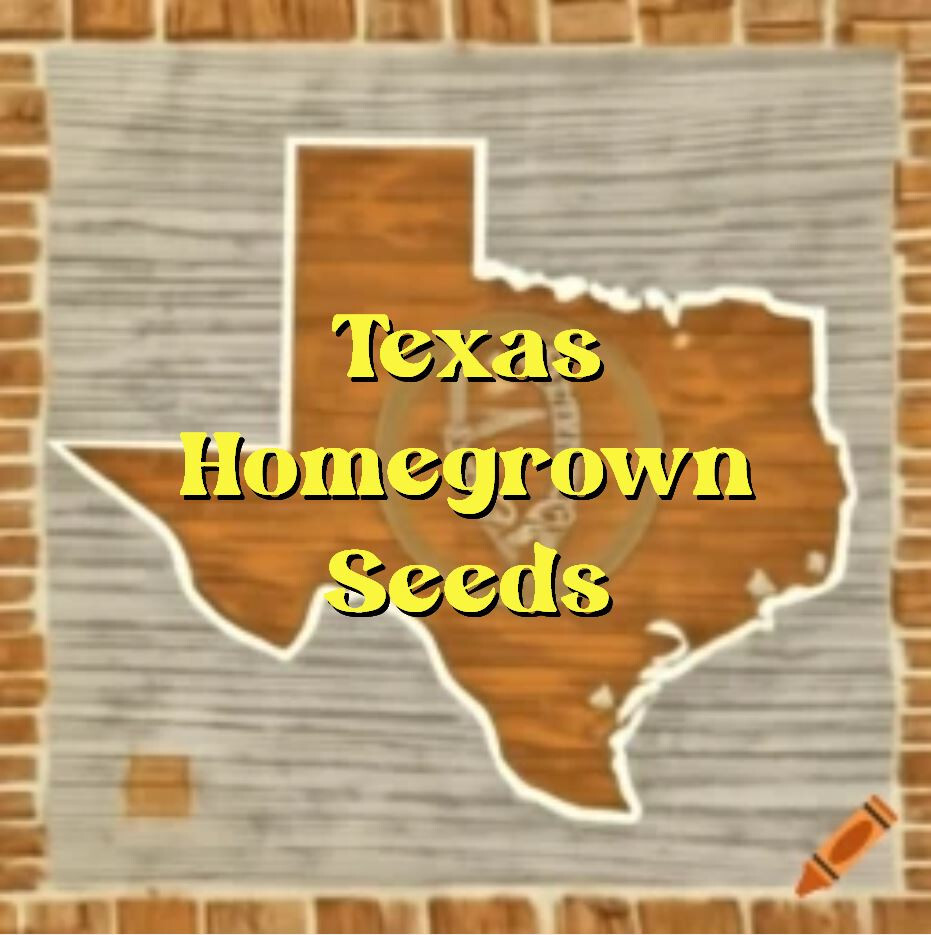 1,000 Turkish Blue Poppy Seeds P. Somniferum -BUY ONE GET ONE FREE ...