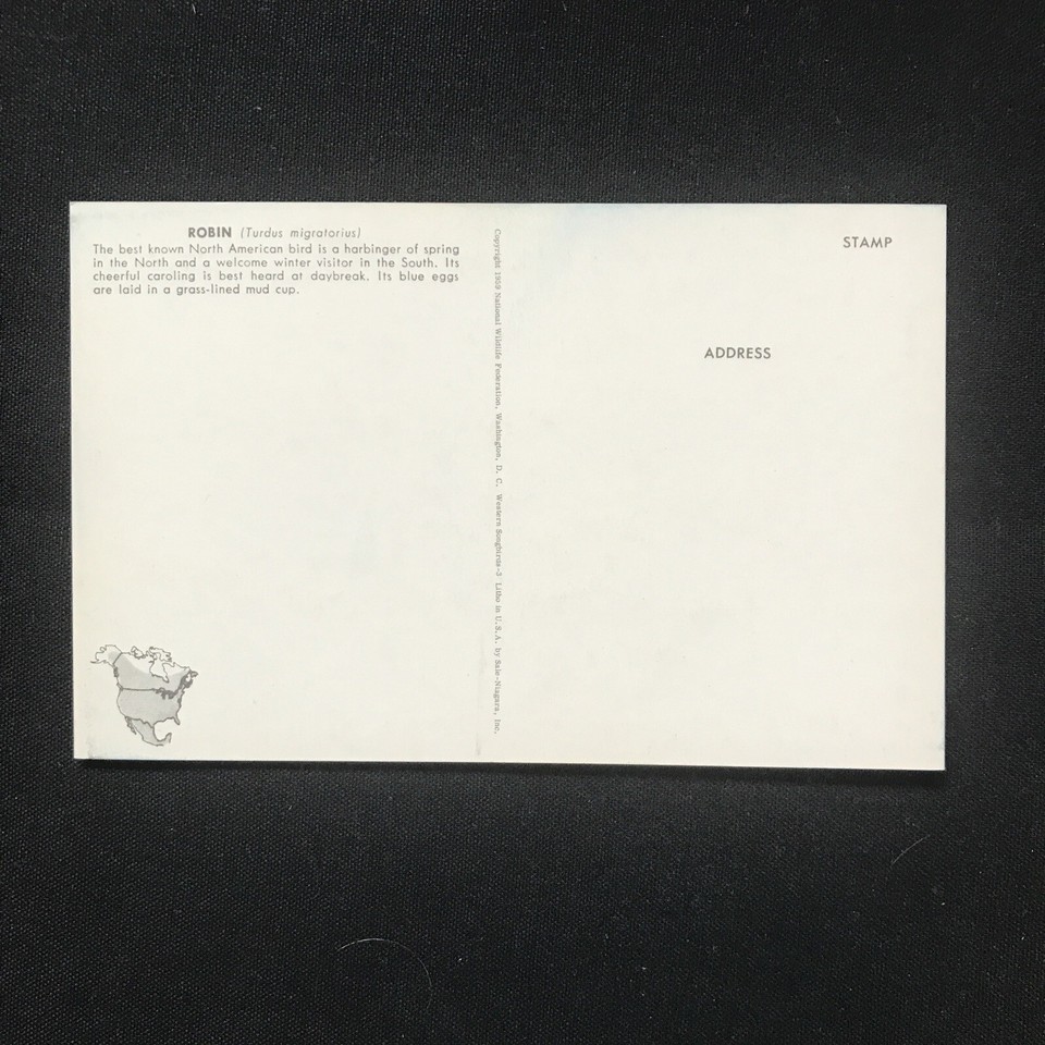 Robin national wildlife Federation postcard Weber Flower Chrome | eBay