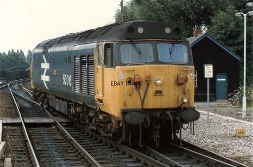 PHOTO CLASS 50 LOCO NO 50016 AT EXETER 1988 | eBay