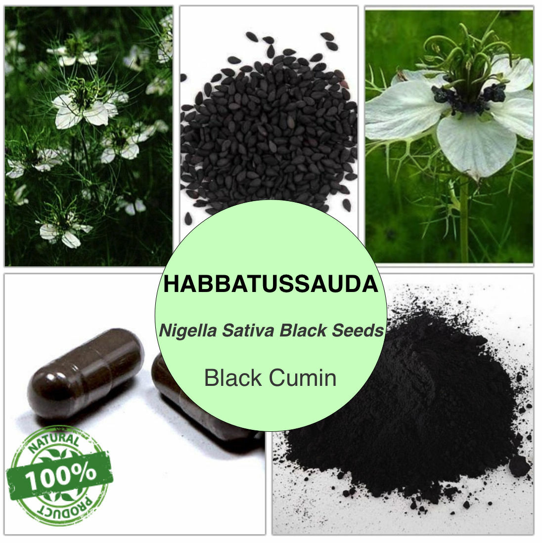 240 CAPSULES HABBATUS SAUDA Nigella Sativa Black seeds Black cumin ...