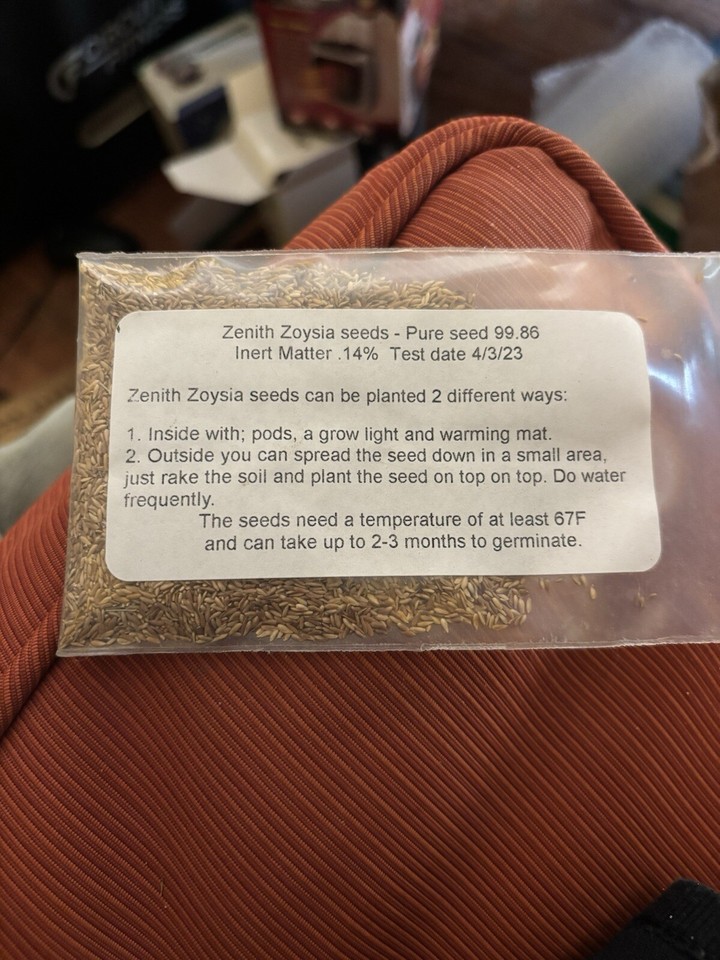 Zenith Zoysia Grass Seeds / Lawn grass 1000 seeds sample pack | eBay