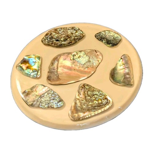 Genuine Abalone Shell Trivet. MCM Plympton's Lucite 5.5" CA USA Beach ...
