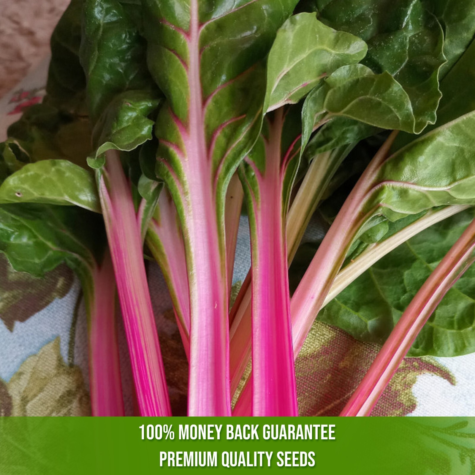 SILVERBEET Pink FLAMINGO 50+ Seeds Vegetable garden SWISS CHARD Seeds | eBay Australia