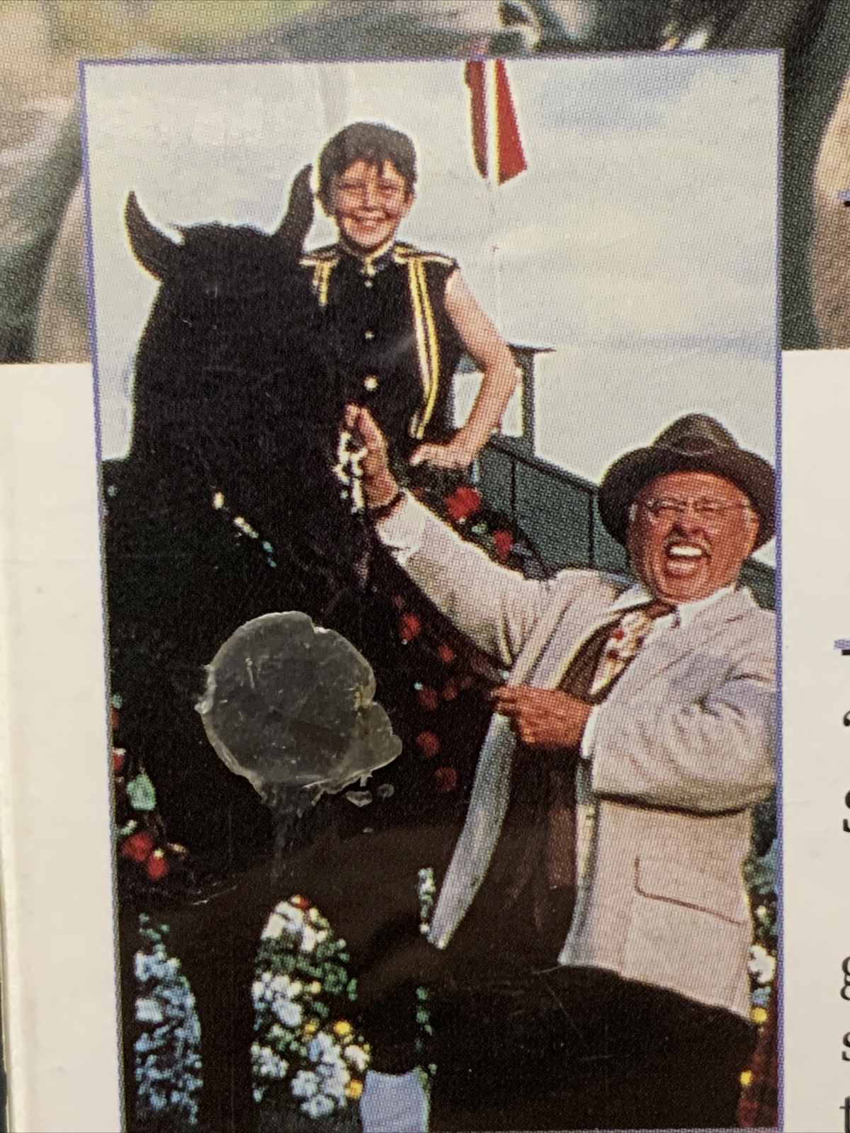 The Black Stallion (VHS, 1997, Clamshell Family Treasures) 27616512239 ...