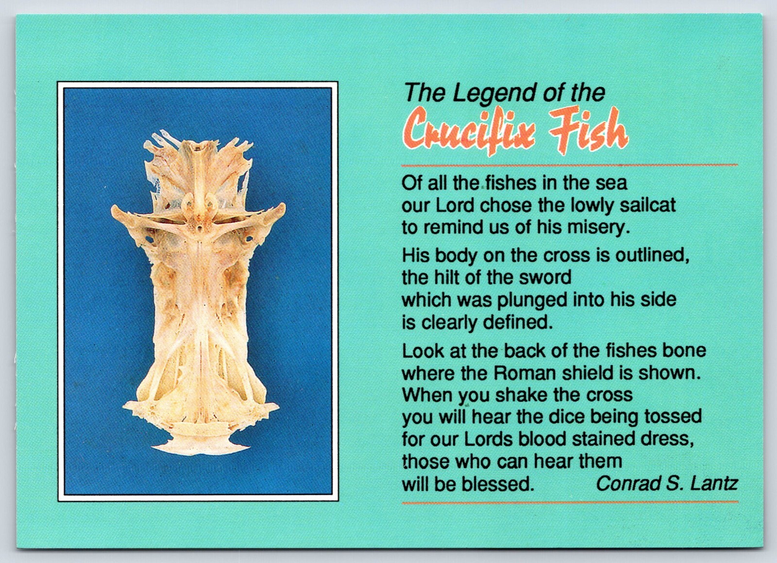Vintage Postcard Continental Legend of the Crucifix Fish | eBay