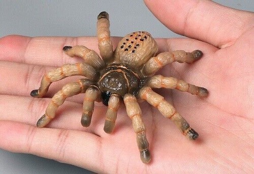 Tarantula Spider Insect Animal Toy PVC Action Figure Doll Kids Toys ...