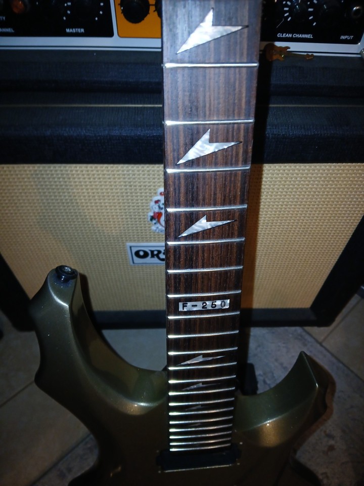 ESP LTD F-250 Titanium~2004~Husk~Project~Floyd Rose~Set Neck~w/Peavey ...