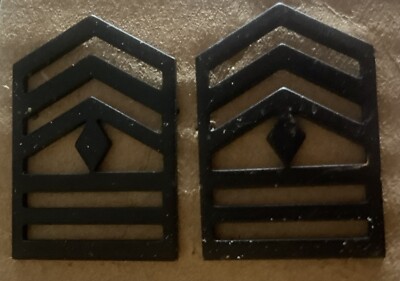 US Army ROTC JROTC Rank Insignia Pins Pair Subdued Cadet Master ...