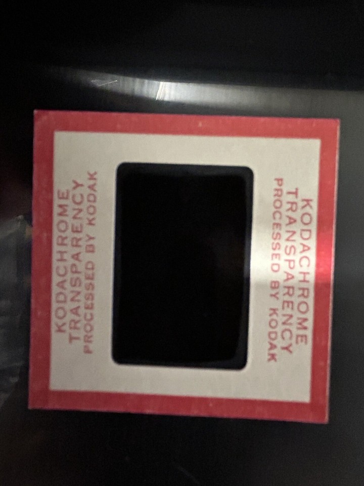 Boys Mickey Mouse Club Shirt Cannon 1950s 35mm Slide Red Border ...