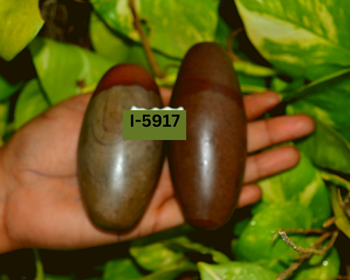 Rare Natural Shiva Lingam Sacred Stone from Narmada River Lord Shiva ...