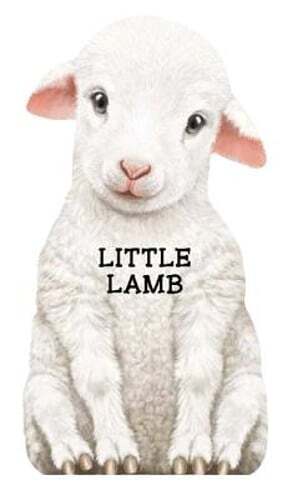 Little Lamb by Laura Rigo: New | eBay