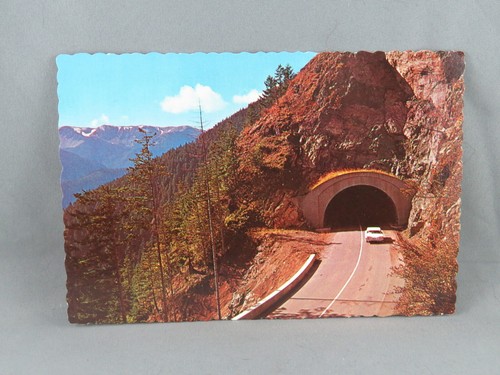 Vintage Postcard - Hurricane Ridge Highway Washington State - Dexter ...