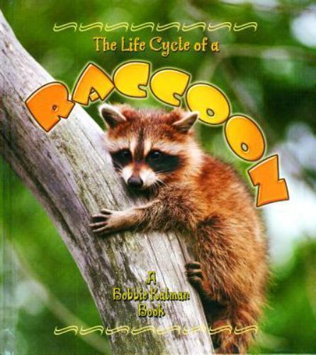 The Life Cycle of a Raccoon by Crossingham, John; Kalman, Bobbie ...