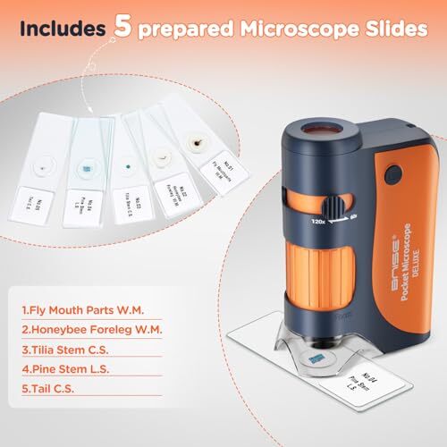 Pocket Microscope, Portable Mini Microscope Kids 60X-120X, Handheld | eBay