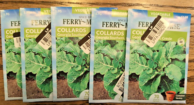 Lot of 5 Georgia Southern Creole Collards Seeds Ferry Morse 2023 | eBay