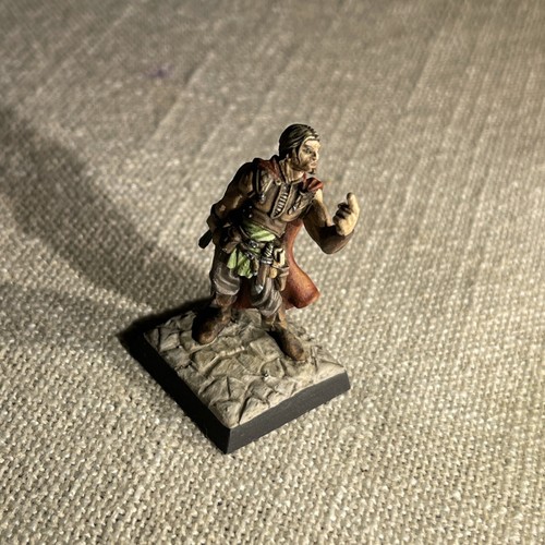 PRO PAINTED REAPER MINIATURES D&D DUNGEONS & DRAGONS Warrior Champion ...
