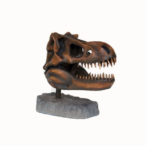 T-Rex Dinosaur Skull Head Life Size Resin Statue Prehistoric Jurassic ...
