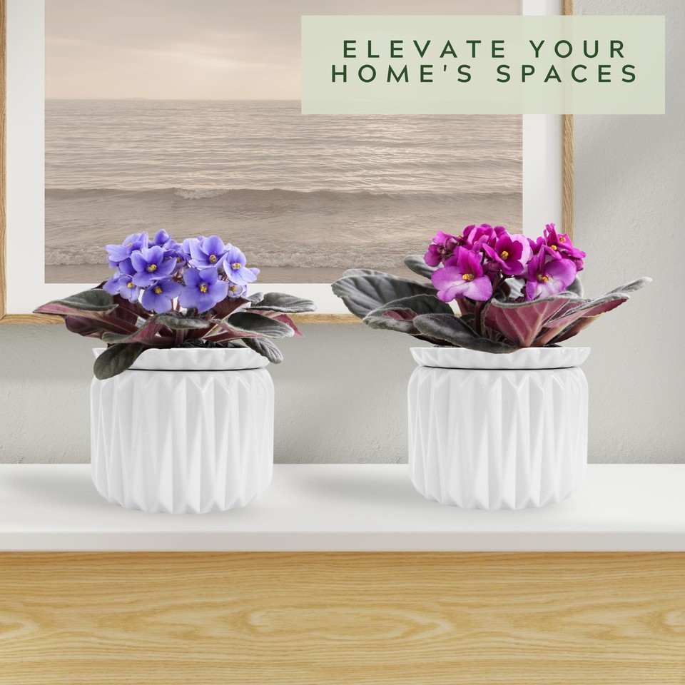 6 inch Self Watering Pot for Indoor Plants, African Violet Pot Ceramic ...