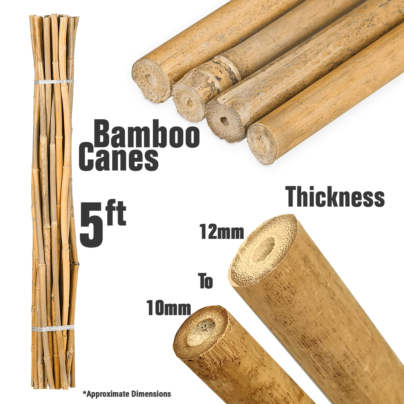 Fencing Screening Natural Bamboo Canes Plant Heavy Duty Canes Garden ...