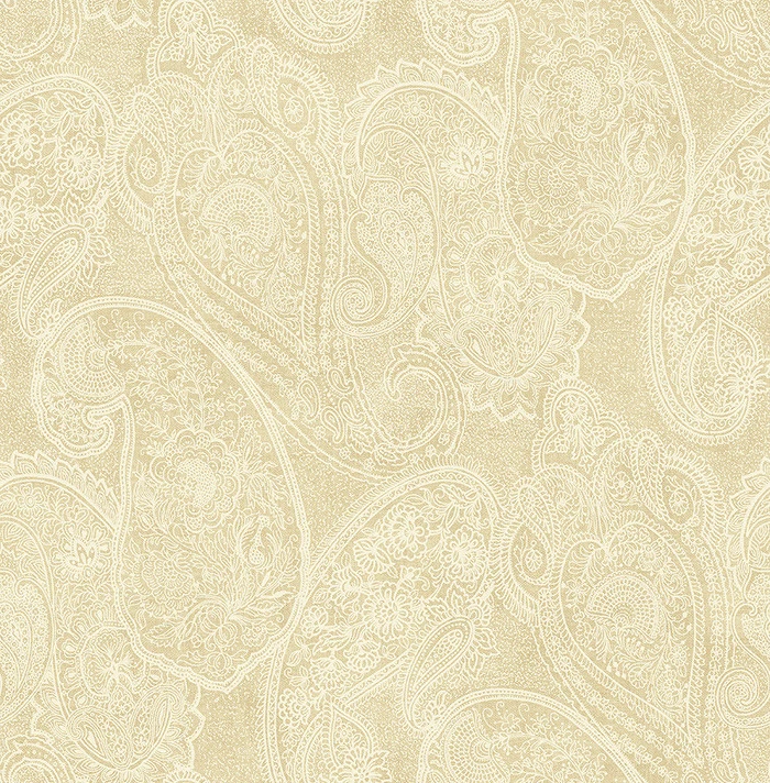 Indian Paisley Design Wallpaper