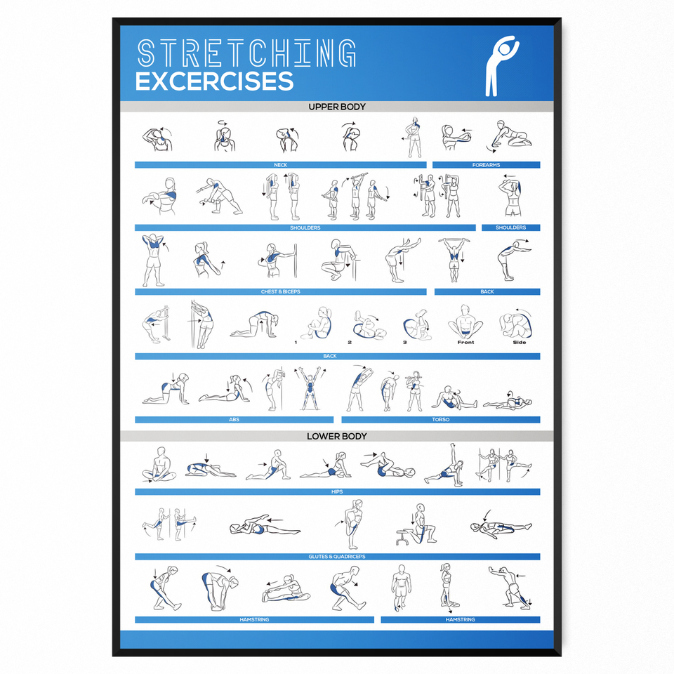 GYM WORKOUT POSTERS Exercises Dumbbell Barbell Kettlebell Cable Machine ...