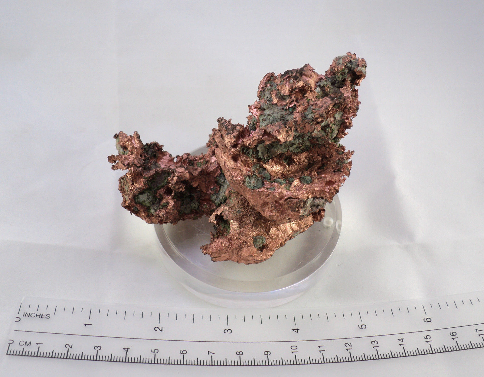 Native Copper Michigan USA Large Cabinet Size Specimen #T121 | eBay