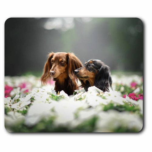 Computer Mouse Mat - Dachshund Puppies Sausage Dog Puppy Office Gift ...
