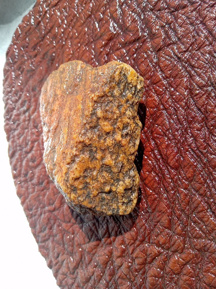 98 Gram Gold Ore With Visable Gold From Southern California | eBay