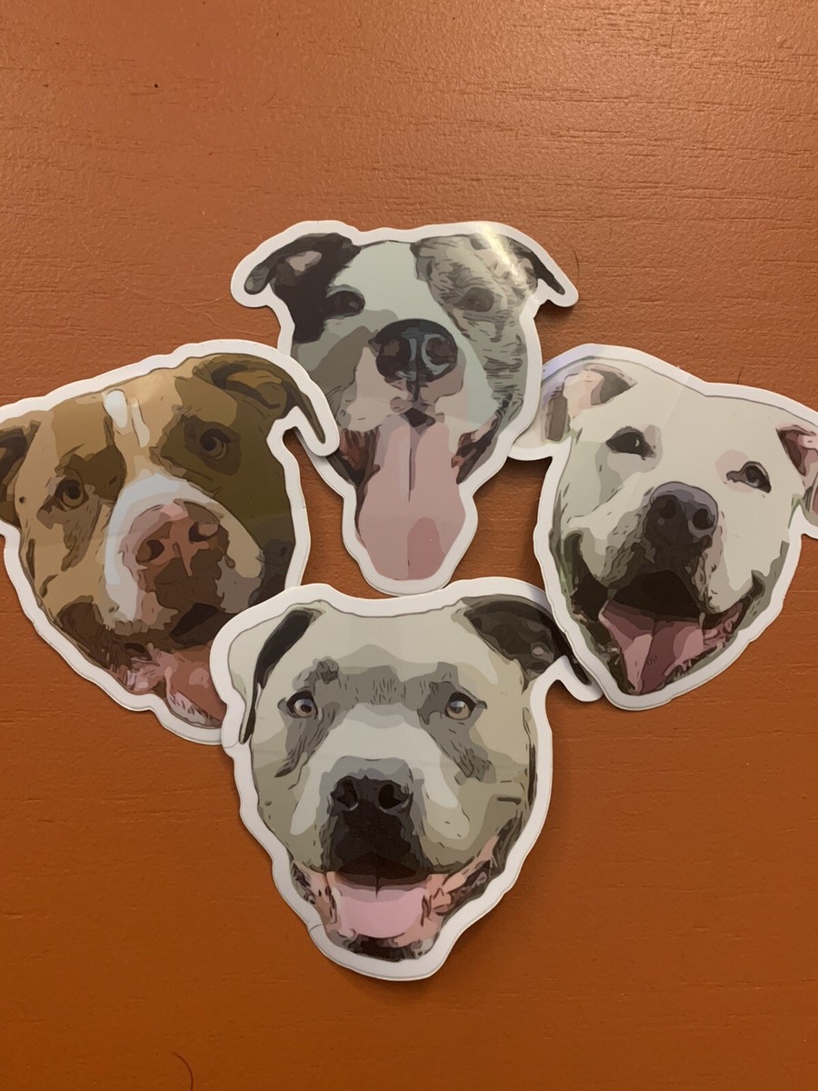 Pitbull Dogs Red Nose White