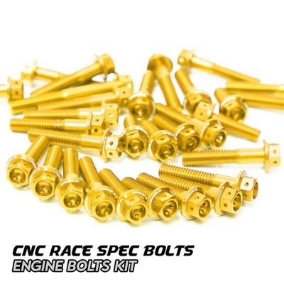 GOLD Alternator Engine Cover Bolts M6 For Honda CBF 600 N/S 04-06 05 ...