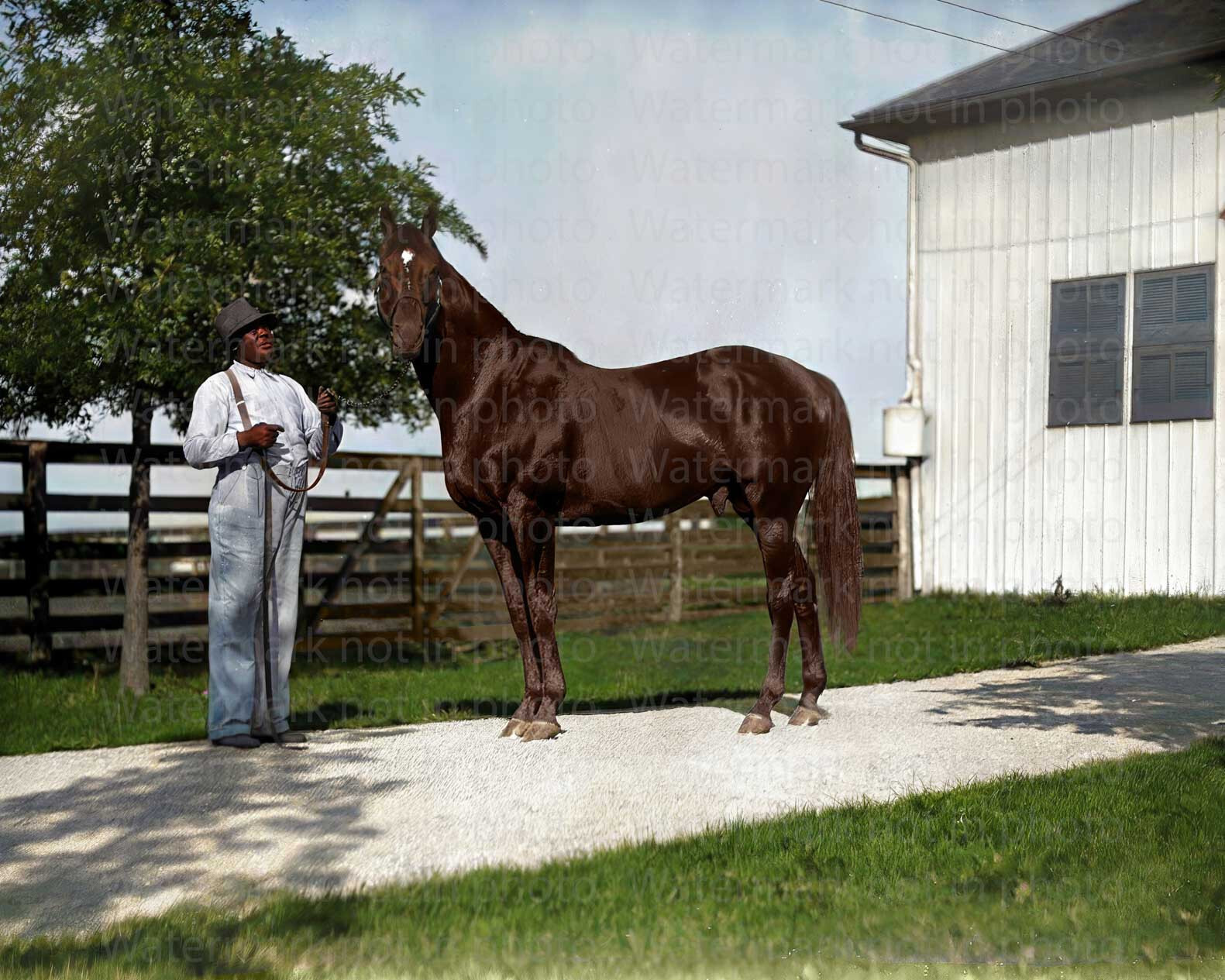 Man O War Horse Racing 8x10 RARE COLOR Photo 604 REMASTERED | eBay