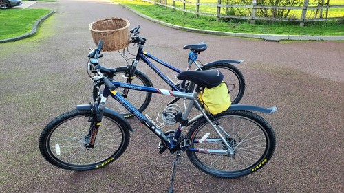 Claud Butler Ravana Ladies & Gents Mountain Bikes x 2 | eBay