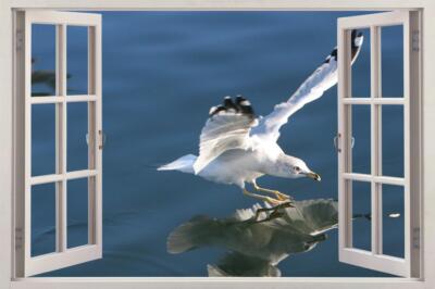 Seagull 3D Window Decal Wall Sticker Home Decor Art Mural Animals Birds ...