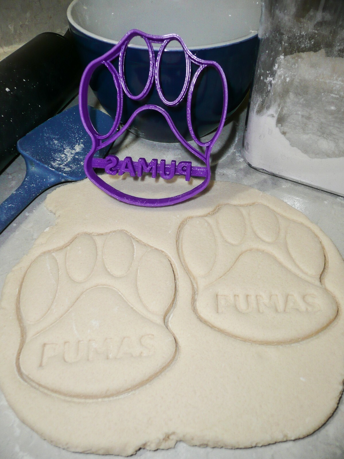 SAINT JOSEPH'S COLLEGE SJC PUMA PAW MASCOT SPECIAL OCCASION COOKIE ...