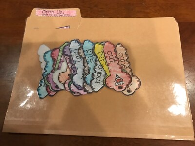 Open Up! Long Short Vowel Spunds 2nd grade language arts file folder ...
