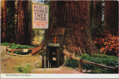 Postcard Piercy California World Famous Tree House Believe It Or Not | eBay
