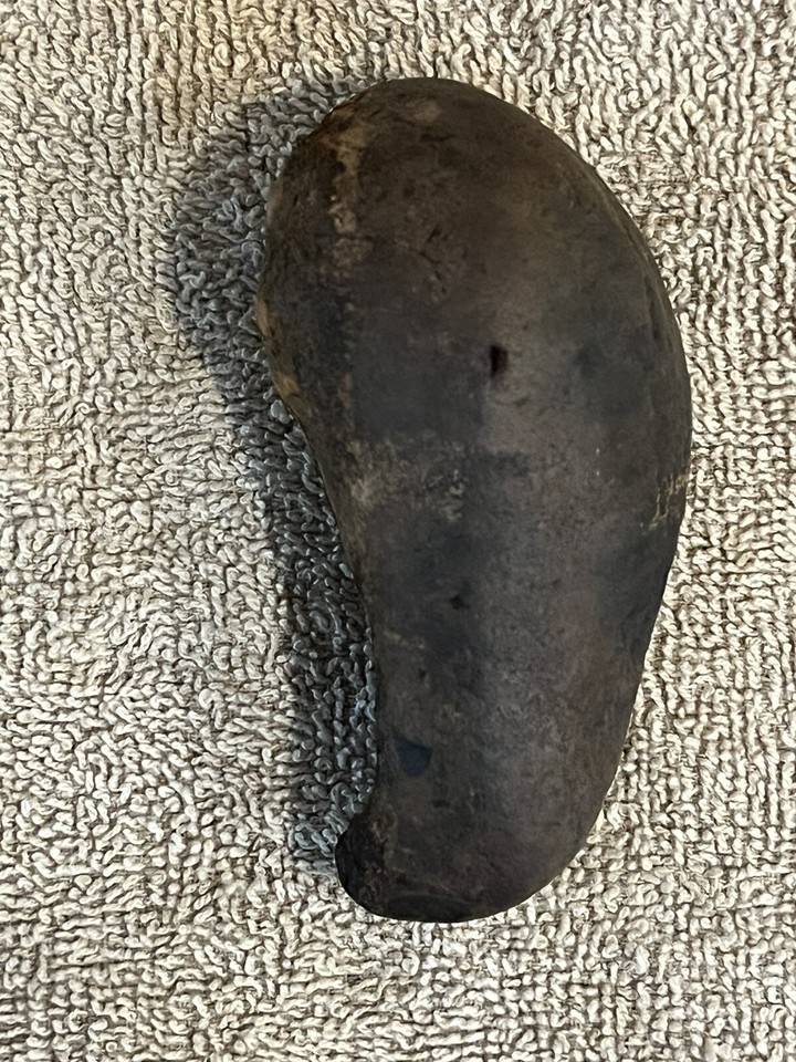 Prehistoric St. Mary’s River Whale Ear Bone Fossil Pleistocene Epoch | eBay