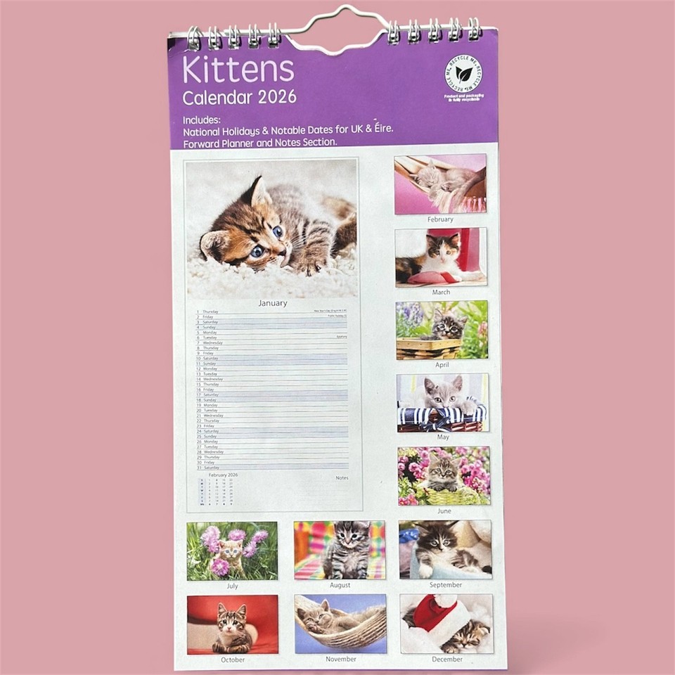 2026 Slim Calendar Planner Spiral, kitten, Postal , Envelope Gift ...