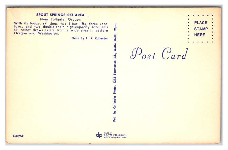 Vintage 1950s - Spout Springs Ski Area - Tollgate, Oregon Postcard ...