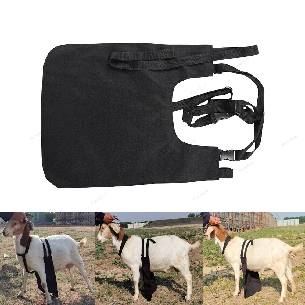 Odor Control Anti-Mating Protection Apron For Goats & Sheep Medium Size ...