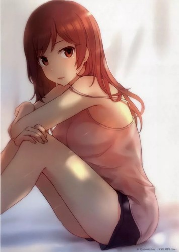 Clear Poster Single Item A3 Usamoto Anna C103 Alice Gear Aigis Pyramid Official | eBay