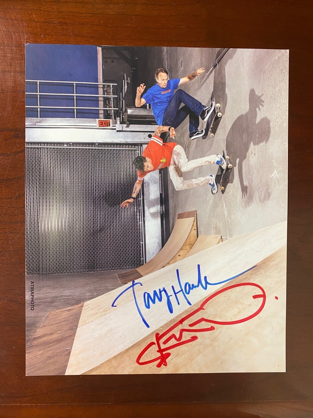 Tony Hawk Steve Hawk